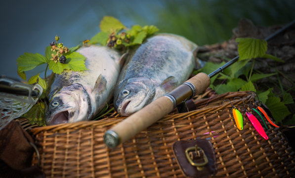 "Fishing Background" Images – Browse 1,299 Stock Photos, Vectors, and ...