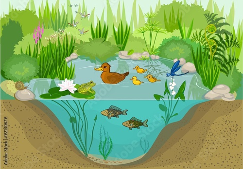 "At the pond " fichier vectoriel libre de droits sur la banque d'images ...