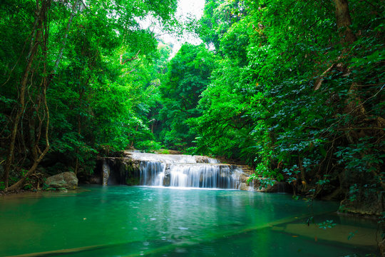 รูปภาพJangle – เลือกดูภาพถ่ายสต็อก เวกเตอร์ และวิดีโอ72,661 | Adobe Stock