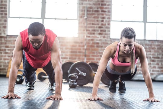Fit Images – Browse 3,376,649 Stock Photos, Vectors, and Video | Adobe ...