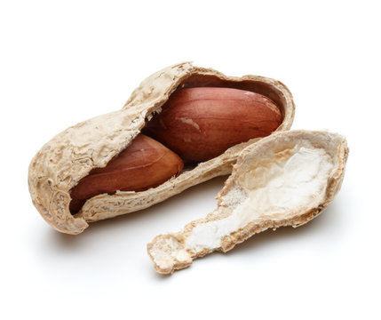 รูปภาพArachide – เลือกดูภาพถ่ายสต็อก เวกเตอร์ และวิดีโอ13,340 | Adobe Stock