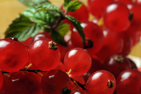 Groselha Bilder – Durchsuchen 377 Archivfotos, Vektorgrafiken und ...