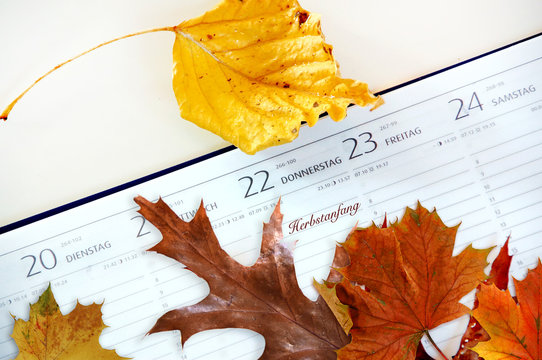 รูปภาพHerbstbeginn – เลือกดูภาพถ่ายสต็อก เวกเตอร์ และวิดีโอ1,402 ...