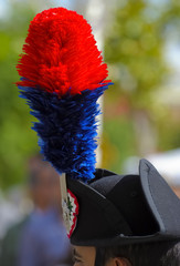 Close up feather plumed bicorne carabinieri, italian policemen printed ...