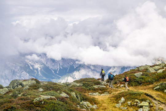 รูปภาพVerwall – เลือกดูภาพถ่ายสต็อก เวกเตอร์ และวิดีโอ1,472 | Adobe Stock