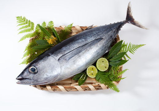 Albacora-Bilder: Stock-Fotos & -Videos. | Adobe Stock