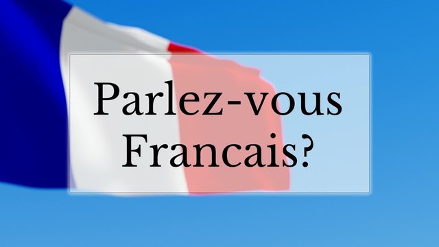 "Parlez-Vous Francais" Images – Browse 27 Stock Photos, Vectors, and ...