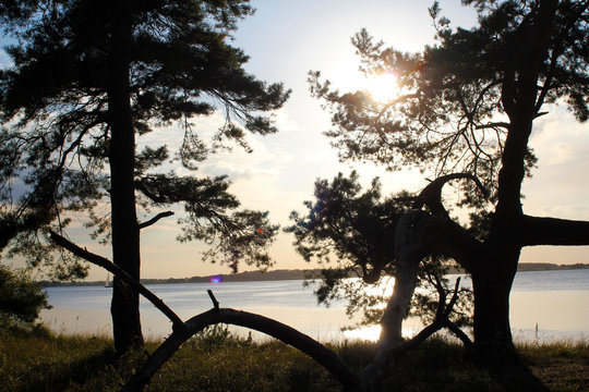 Baumschatten Images – Browse 190 Stock Photos, Vectors, and Video ...