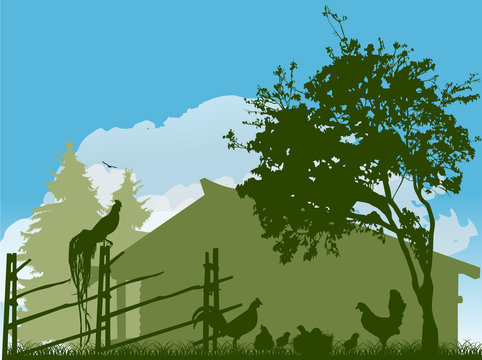 34 BEST Femce IMAGES, STOCK PHOTOS & VECTORS | Adobe Stock