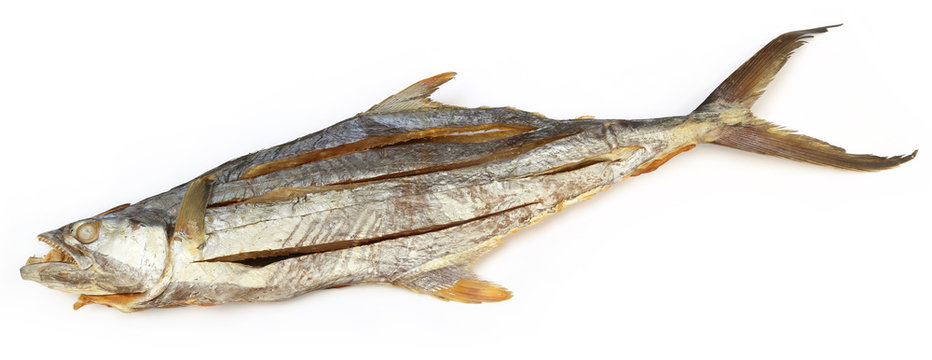 Indian Salmon Fish Images