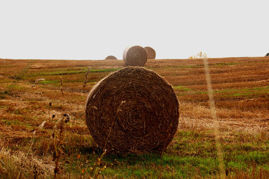Hay-Ball Images – Browse 2 Stock Photos, Vectors, and Video | Adobe Stock