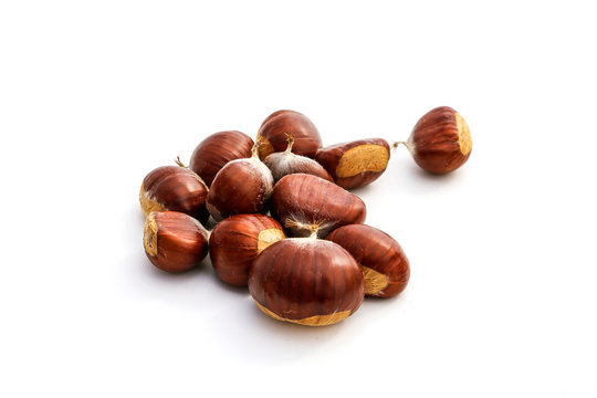 Maron 画像 - 参照 1,323 Stock 写真、ベクターおよびビデオ | Adobe Stock