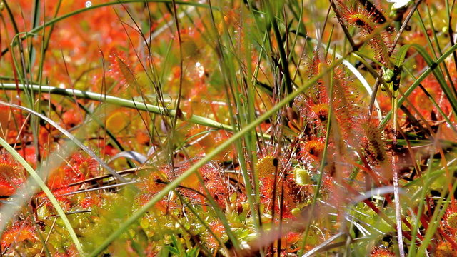 รูปภาพConiin – เลือกดูภาพถ่ายสต็อก เวกเตอร์ และวิดีโอ41 | Adobe Stock