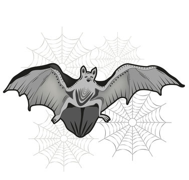 รูปภาพPipistrello – เลือกดูภาพถ่ายสต็อก เวกเตอร์ และวิดีโอ680 | Adobe Stock