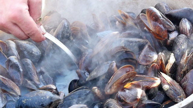 Obrázky Shellfish – procházejte fotografie, vektory a videa 480,792 ...