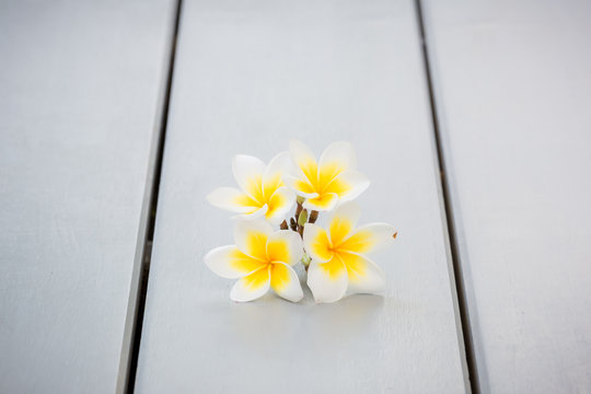 Chafa Images – Browse 66 Stock Photos, Vectors, and Video | Adobe Stock