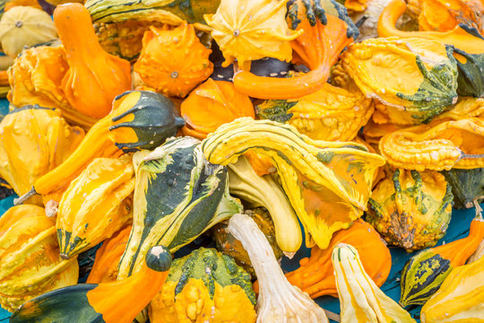 รูปภาพCornicopia – เลือกดูภาพถ่ายสต็อก เวกเตอร์ และวิดีโอ16,853 | Adobe ...