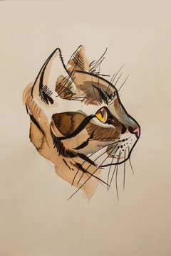 Cat Profile Drawing Images – Browse 8,386 Stock Photos, Vectors, and ...