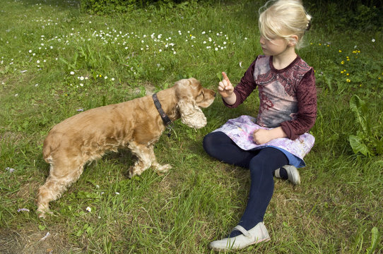 Flunkern Images – Browse 55 Stock Photos, Vectors, and Video | Adobe Stock