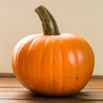 Pumpa Images – Browse 39 Stock Photos, Vectors, and Video | Adobe Stock