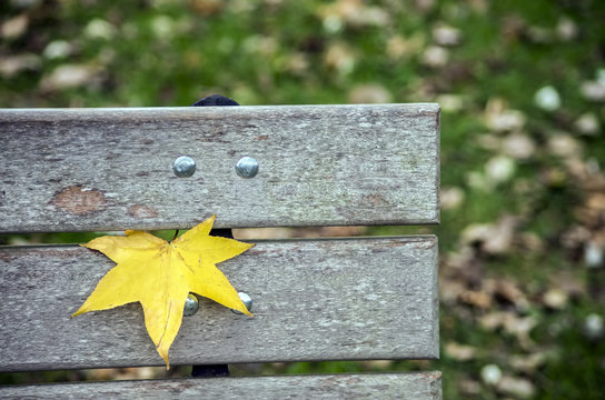 Solmak Images – Browse 28 Stock Photos, Vectors, and Video | Adobe Stock