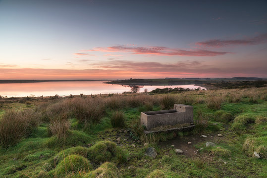 "Cattle Trough" Images – Browse 43 Stock Photos, Vectors, and Video ...