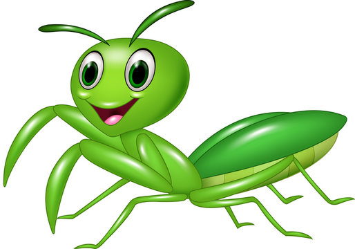 Cartoon Female Praying Mantis