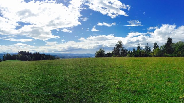 Hinnel Images – Browse 31 Stock Photos, Vectors, and Video | Adobe Stock