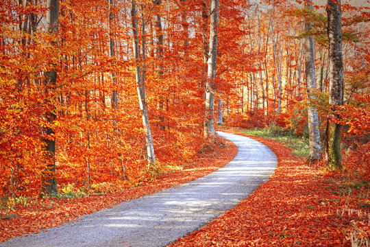 Oversaturated Images – Browse 1,206 Stock Photos, Vectors, and Video ...