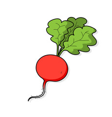 "radish Cartoon" photos, royalty-free images, graphics, vectors ...