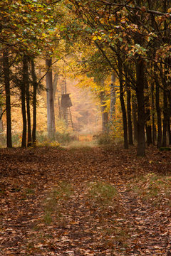 Hochstand Bilder – Durchsuchen 1,807 Archivfotos, Vektorgrafiken und ...
