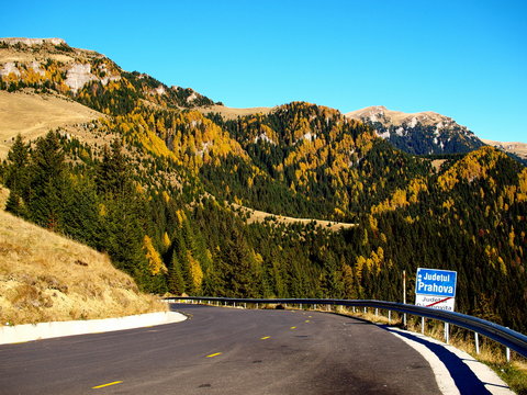 Transbucegi Bilder – Durchsuchen 246 Archivfotos, Vektorgrafiken und ...