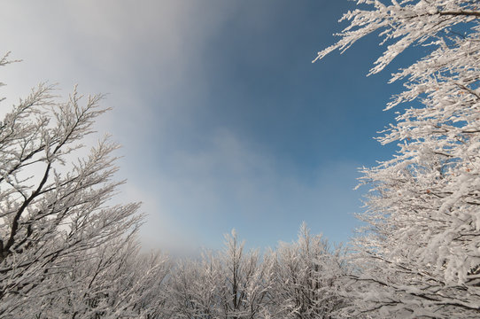 Winterscape Images – Browse 1,506 Stock Photos, Vectors, and Video ...