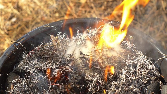 「Bareque」の写真素材 | 15件の無料イラスト画像 | Adobe Stock