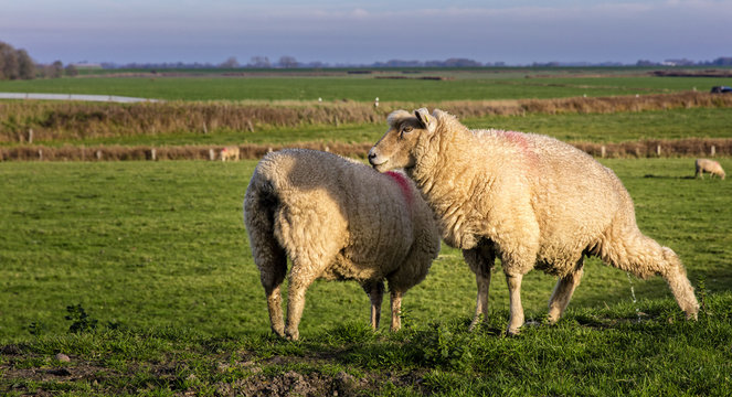 Pinkelpause-Bilder: Stock-Fotos & -Videos. | Adobe Stock