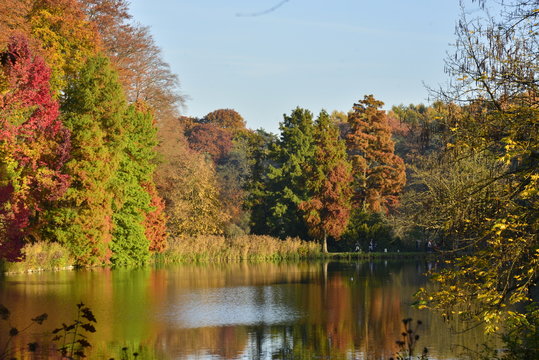 Hulp Bilder – Durchsuchen 239 Archivfotos, Vektorgrafiken und Videos ...