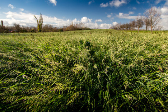 「Genmanipuliert」の画像 - 636 件の Stock 写真、ベクターおよびビデオ | Adobe Stock
