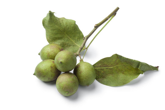Genip