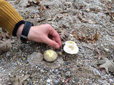 Jiven Images – Browse 2 Stock Photos, Vectors, and Video | Adobe Stock