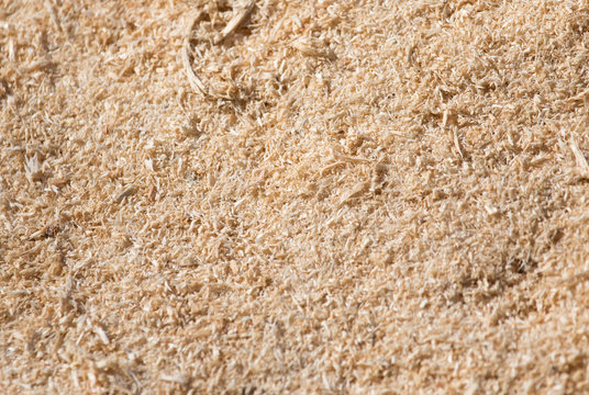 Sawdust Images – Browse 60,883 Stock Photos, Vectors, and Video | Adobe ...