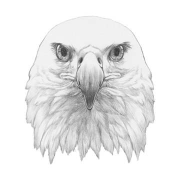 How To Draw A Eagle Face