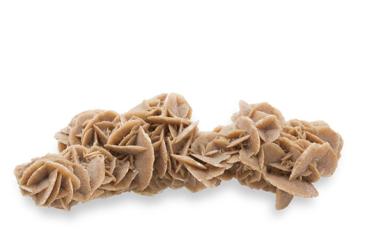 Sandrose Images – Browse 7,983 Stock Photos, Vectors, and Video | Adobe ...