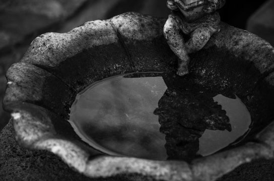Aspersorium bilder – Bläddra bland 961 stockfoton, vektorer och videor ...