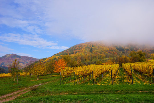 Albersweiler Images – Browse 24 Stock Photos, Vectors, and Video ...