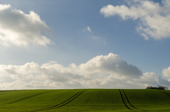 Fleder Bilder – Durchsuchen 36 Archivfotos, Vektorgrafiken und Videos ...