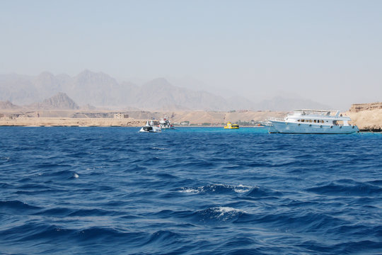 Beatch Billeder – Gennemse 23,790 stockfotos, vektorer og videoer ...