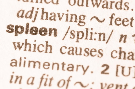 รูปภาพSpleen – เลือกดูภาพถ่ายสต็อก เวกเตอร์ และวิดีโอ17,669 | Adobe Stock