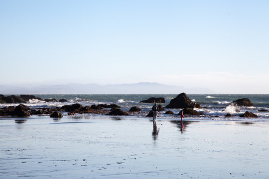 รูปภาพ"Muir Beach" – เลือกดูภาพถ่ายสต็อก เวกเตอร์ และวิดีโอ536 | Adobe ...
