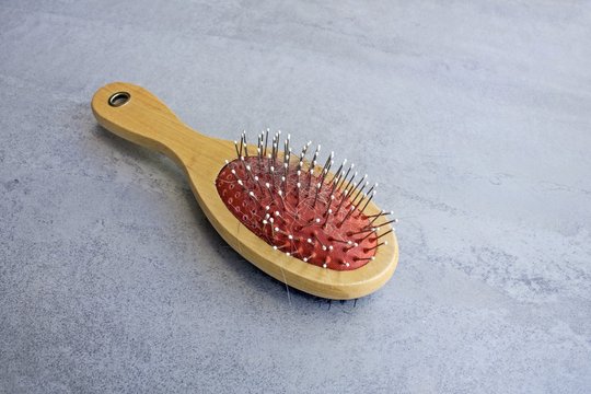 Currycomb Képek – Böngésszen 436 stockfotókat, vektorokat és videókat | Adobe Stock