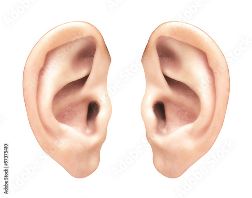 "Ohren" Stockfotos und lizenzfreie Bilder auf Fotolia.com - Bild 97375410